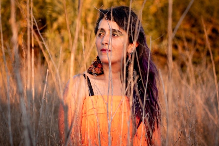 Marez: la fusión del folk y el pop nacional que va por su tercer disco ...